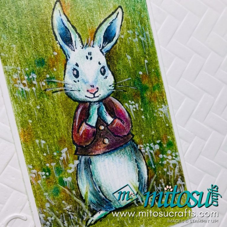 Colouring Fable Friends Rabbit with Watercolour Pencils - Mitosu Crafts