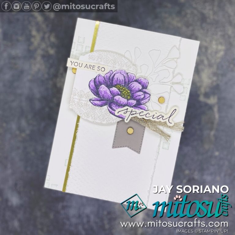 In Good Taste Suite by Stampin Up - Mitosu Crafts