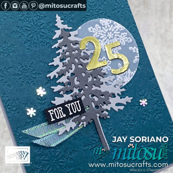 Stamping Sunday Blog Hop ~ Winter Snow Textures - Mitosu Crafts