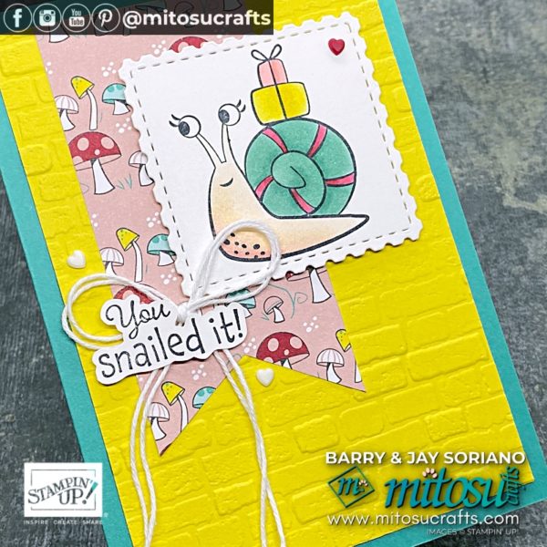 Cute Card & Box with Snailed It Bundle - Mitosu Crafts