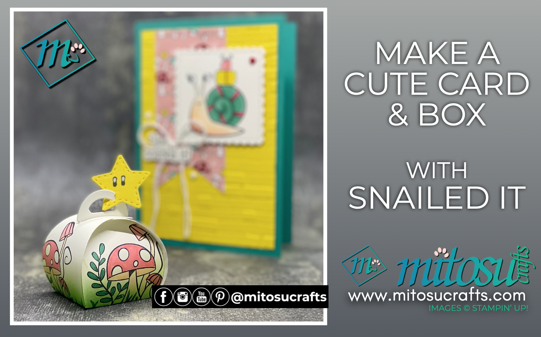 Cute Card & Box with Snailed It Bundle - Mitosu Crafts
