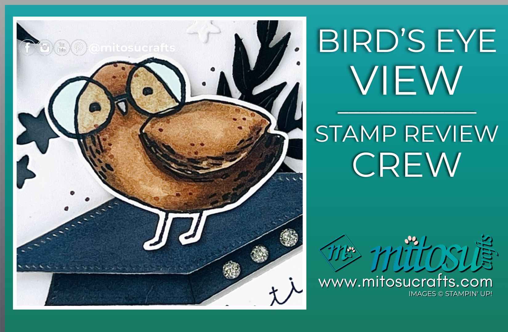 Bird's Eye View Congratulations Card Bonus Hop - Mitosu Crafts