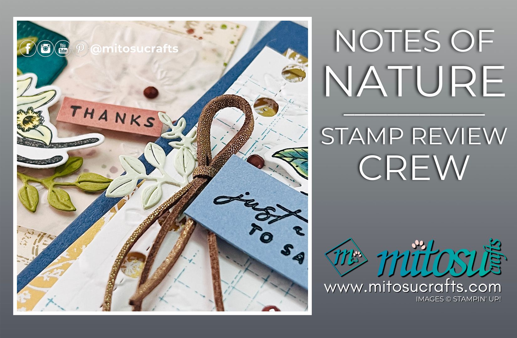 Stampin' Up! Notes Of Nature Card Ideas - Mitosu Crafts