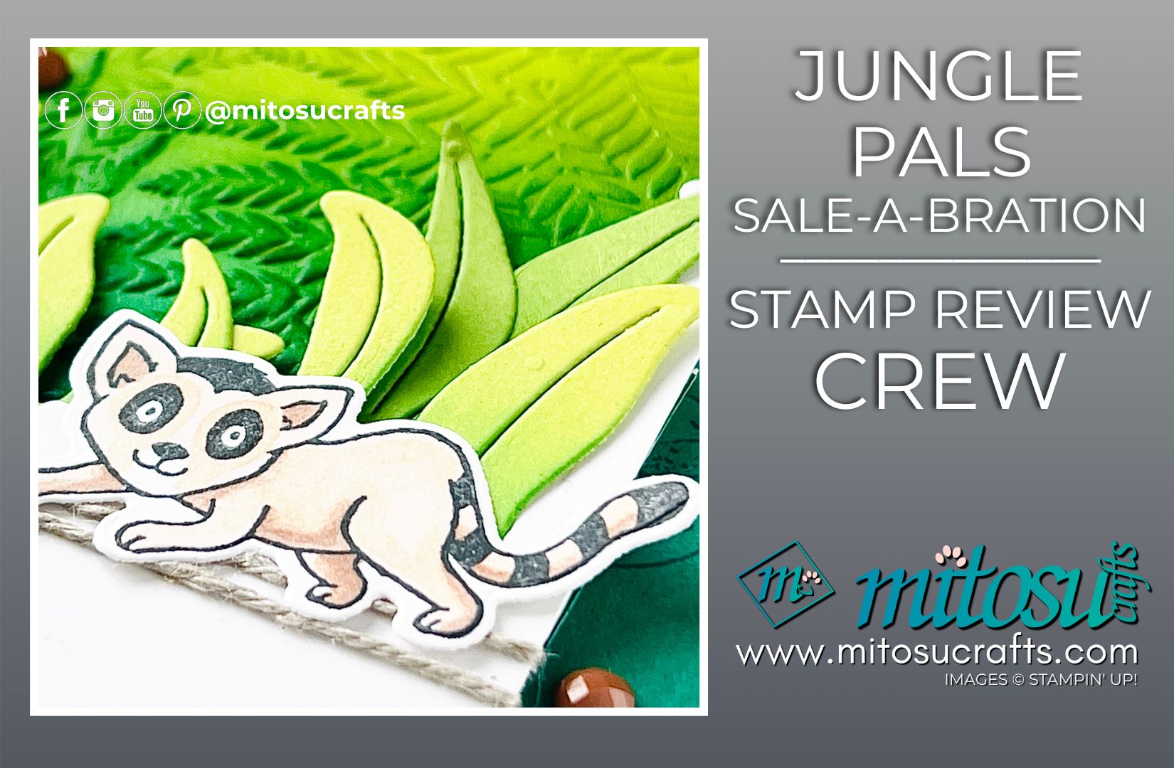 Enjoy Marvelous Jungle Pals Cards SAB24 - Mitosu Crafts