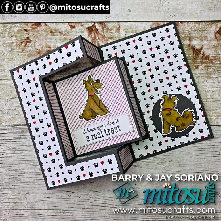 How to Make a Display Card | #funfoldfriday - Mitosu Crafts