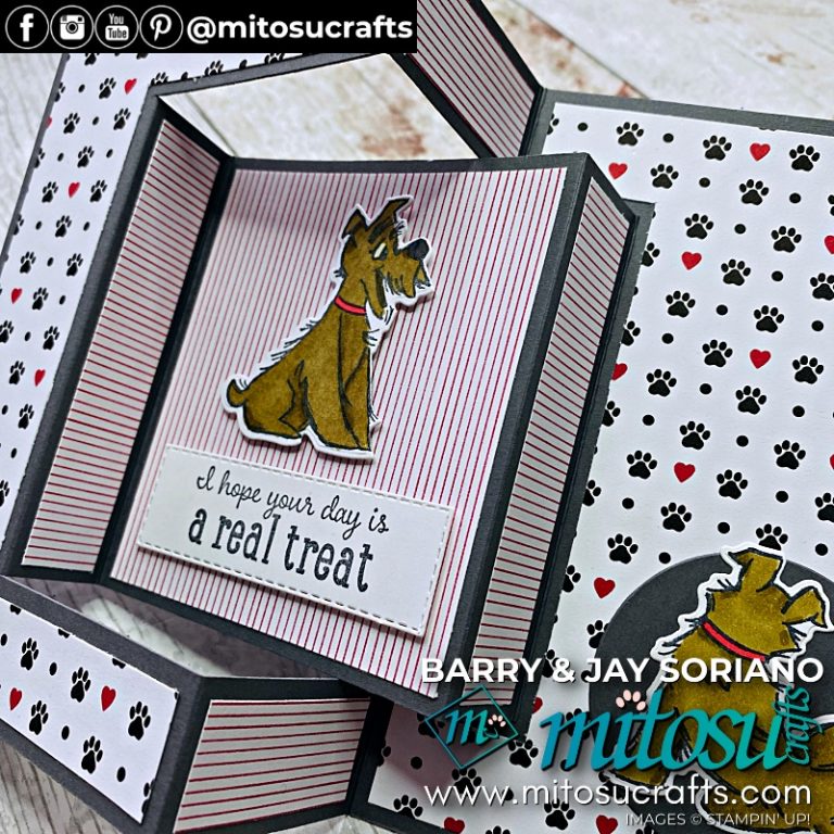 How to Make a Display Card | #funfoldfriday - Mitosu Crafts
