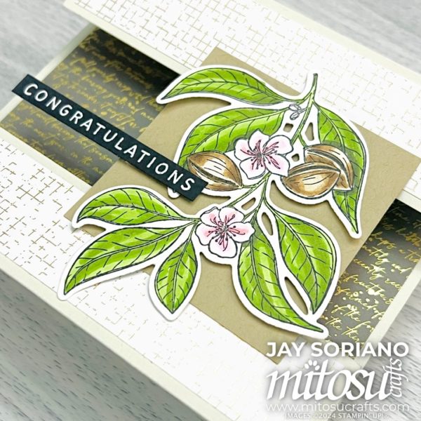 Floating Panel Fun Tent Fold Card for Stamping Sunday - Mitosu Crafts