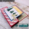 Front Panel Pop Out Card | #funfoldfriday - Mitosu Crafts