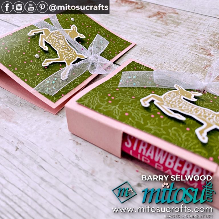 Chap Stick & Lip Balm Gift Box | #funfoldfriday - Mitosu Crafts