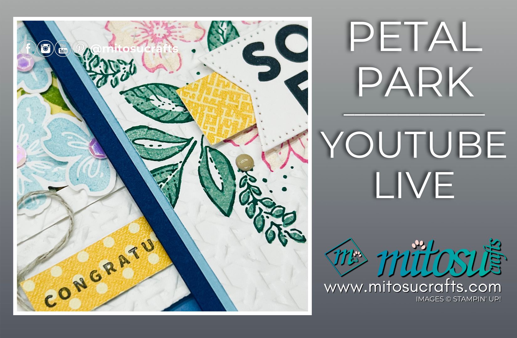 Stampin' Up! Card Ideas with Petal Park Video - Mitosu Crafts