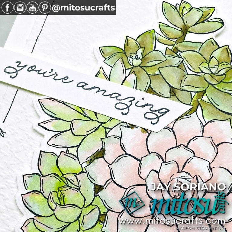 Simply Succulents Stamp for Creative Watercolour Cards - Mitosu Crafts