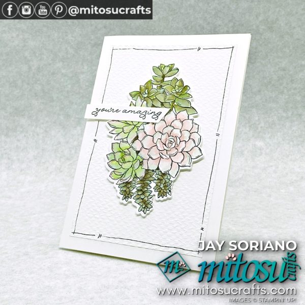 Simply Succulents Stamp for Creative Watercolour Cards - Mitosu Crafts