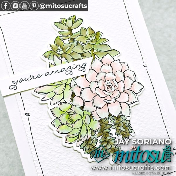 Simply Succulents Stamp for Creative Watercolour Cards - Mitosu Crafts