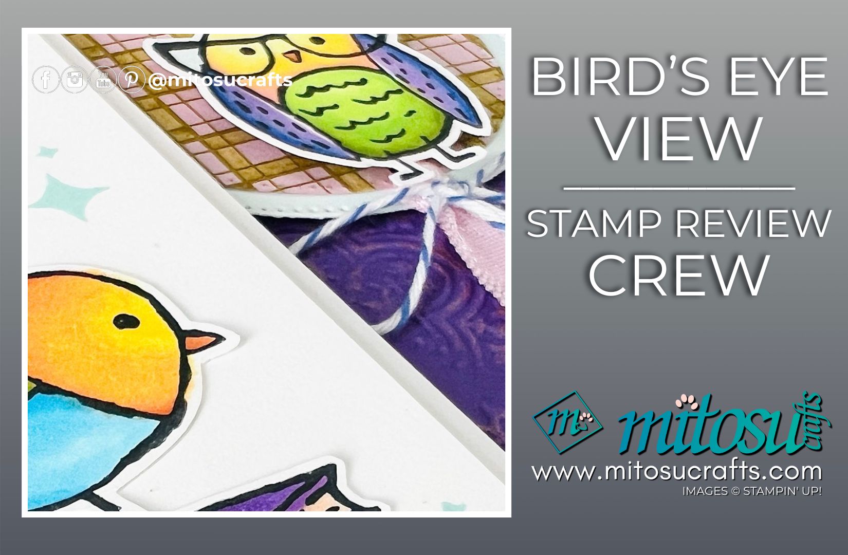 How To Make A Card with Stampin' Up! Bird's Eye View - Mitosu Crafts