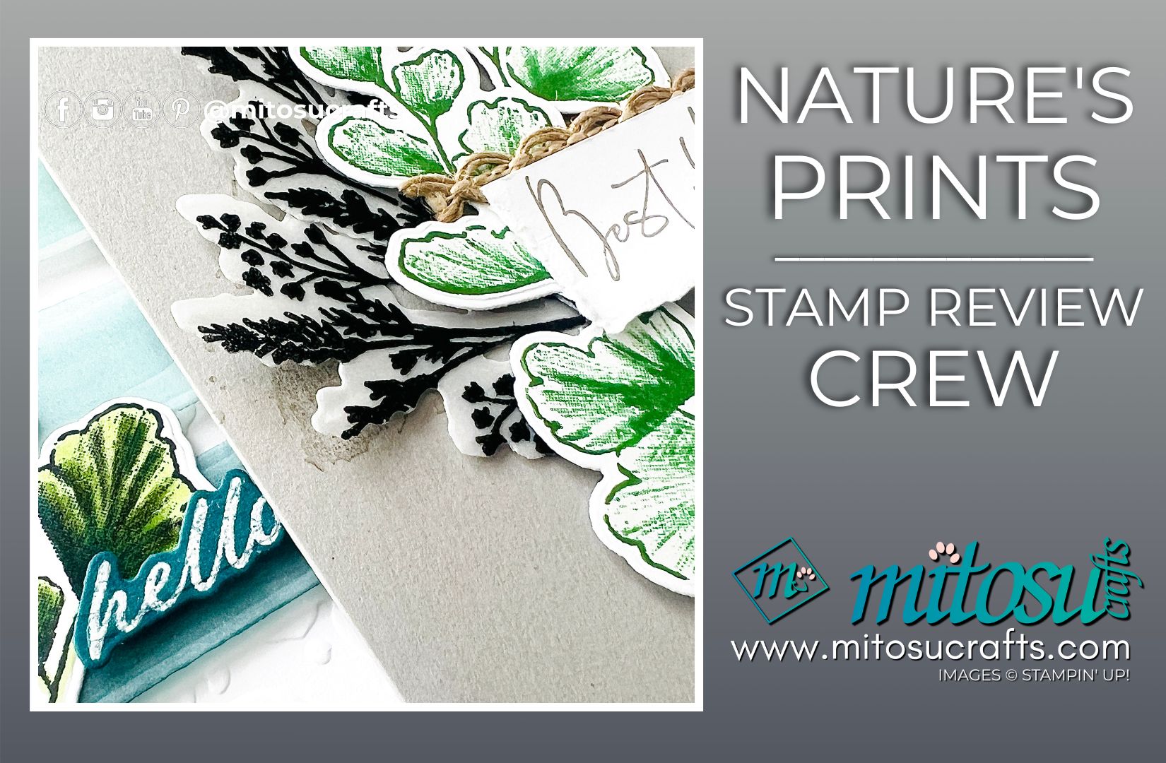 Stampin' Up! Creativity Now Inspired Nature's Prints Card - Mitosu Crafts